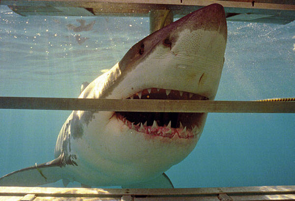 Michael Denker Experience. Entrevista al fotógrafo del golf - Golf Circus